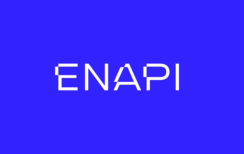 Privacy Policy | ENAPI